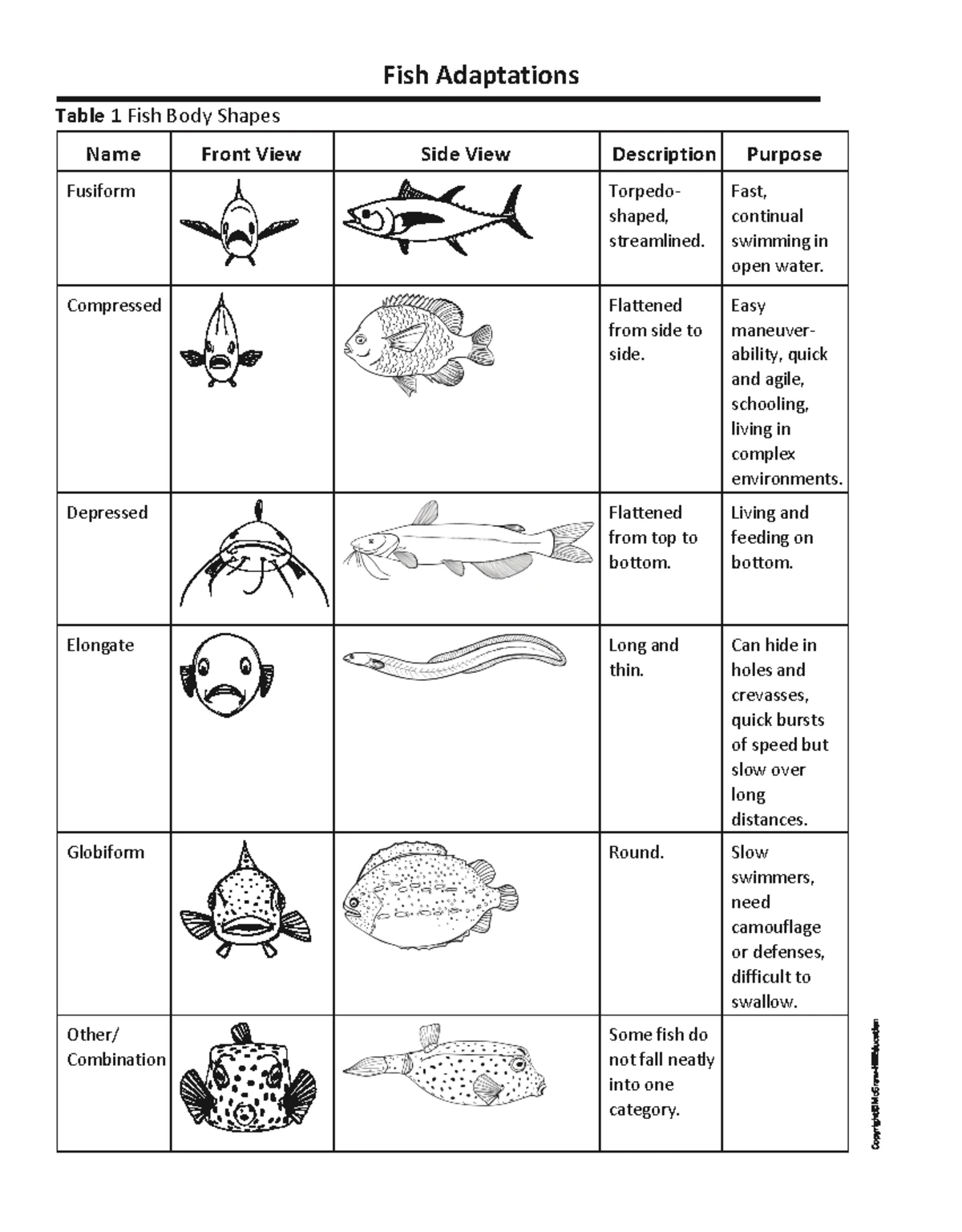 Simbiosis worksheet marine science course 3 - Name: - Studocu