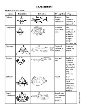1 - Module 1.5 measuring physical properties lab report - Measuring ...