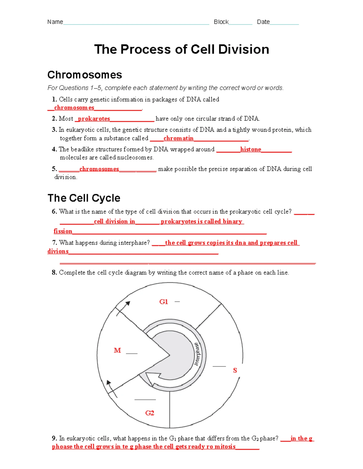 Exploration of Cell Division: Gizmo Activity Instructions - Studocu