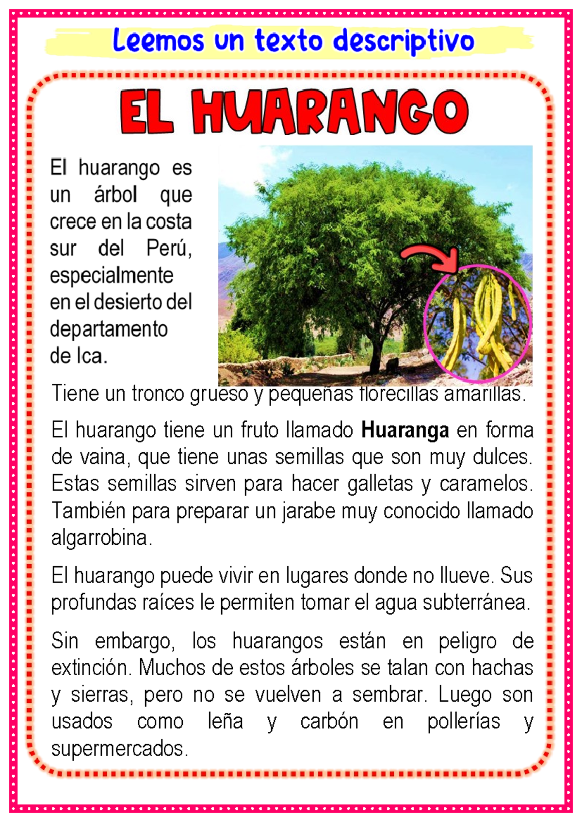 Descripción del Huarango: Importancia y Conservación 27-10-24 - Studocu