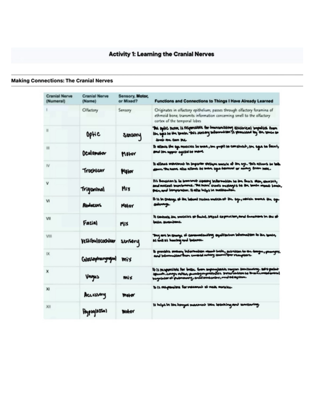Lab Unit 16 Worksheet - Lab Work - Activity 1: Learning the Cranial ...