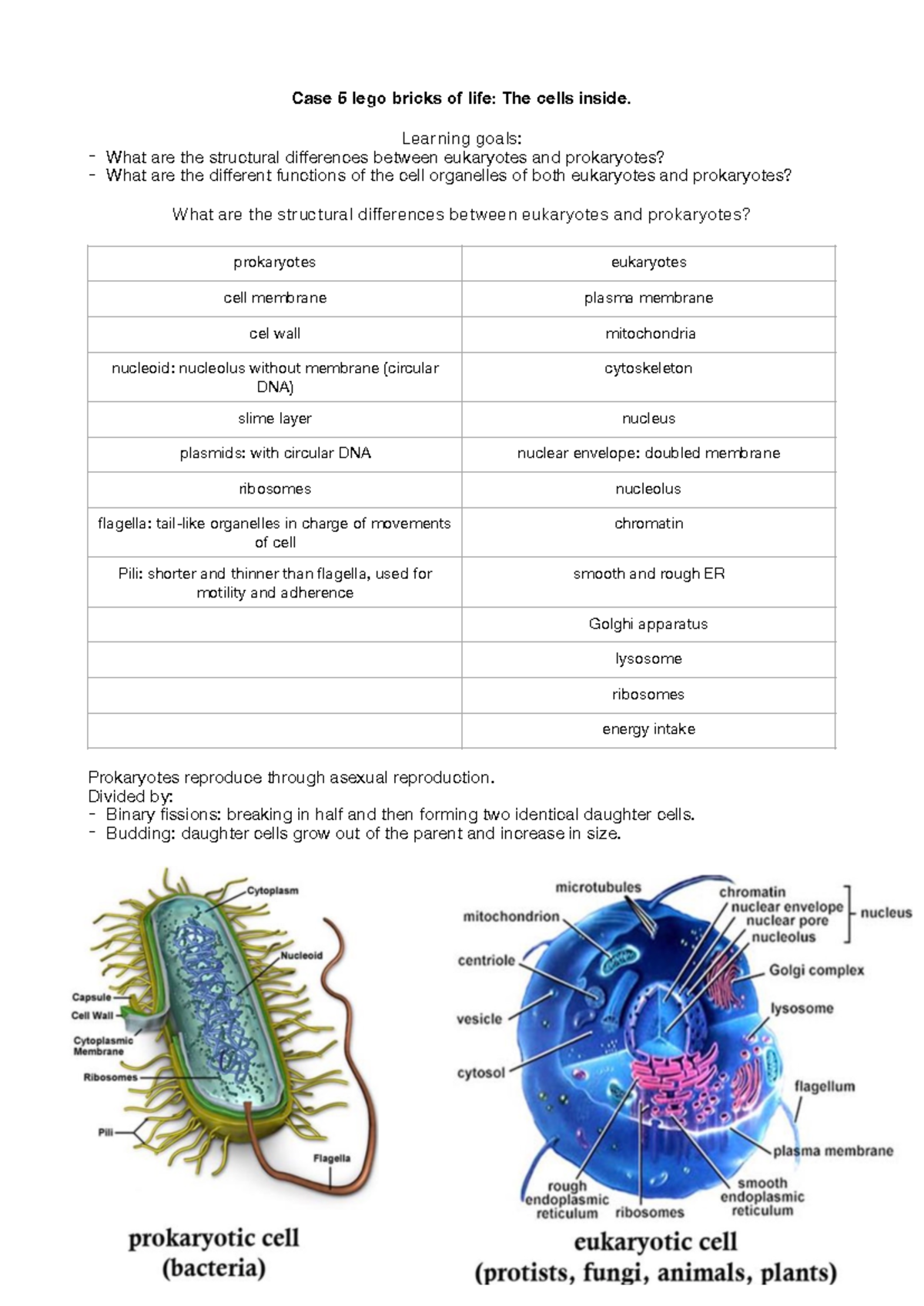 Case Study 5: Structural Differences & Functions of Cell Organelles ...