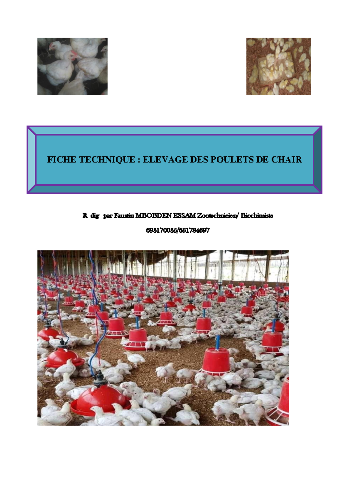 FICHE TECHNIQUE : élevage des poulets de chair - guide pratique - Studocu