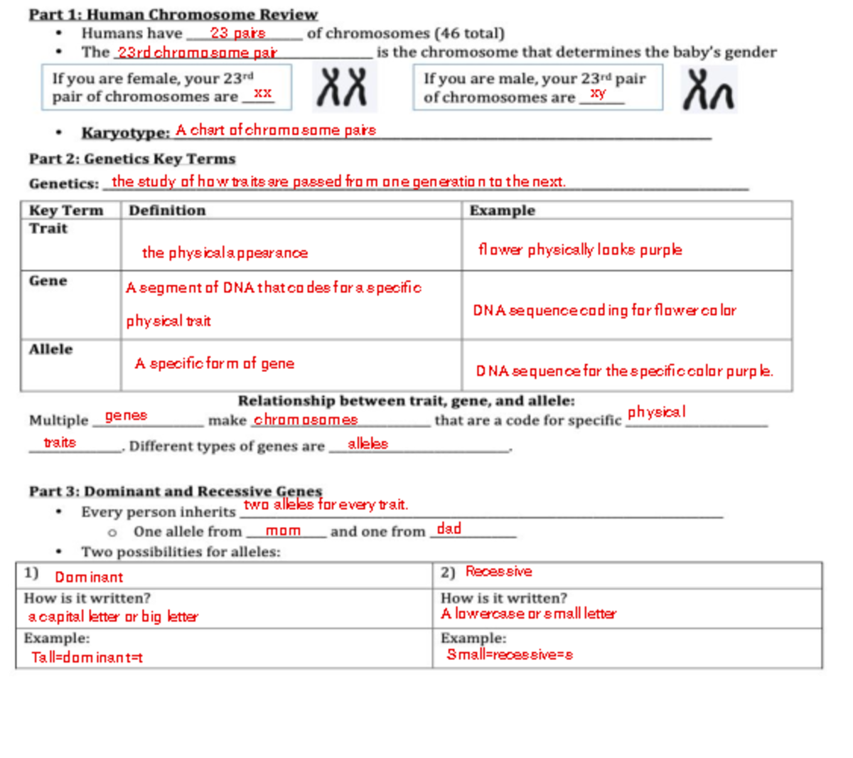 Kami Export: Intro to Genetics Guided Notes - Studocu