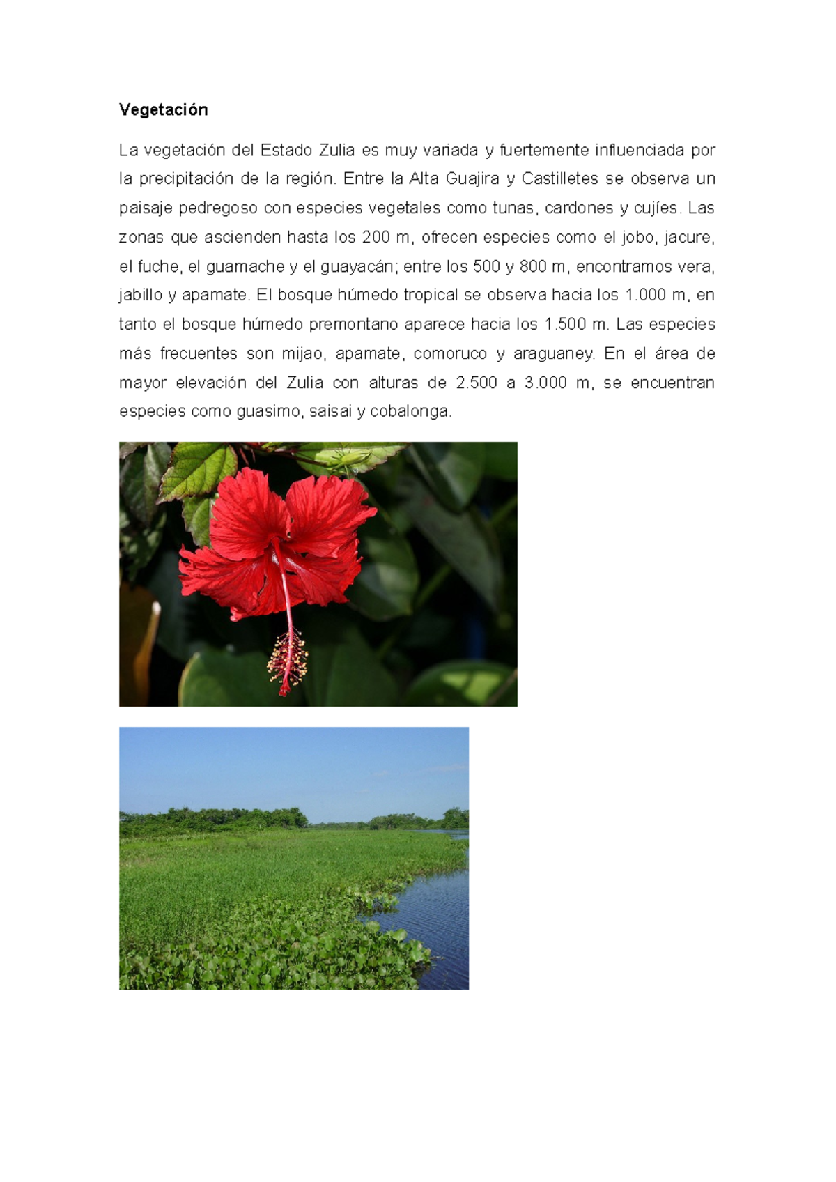 Vegetación del Estado Zulia - APUNTES PARA AYUDA - Studocu