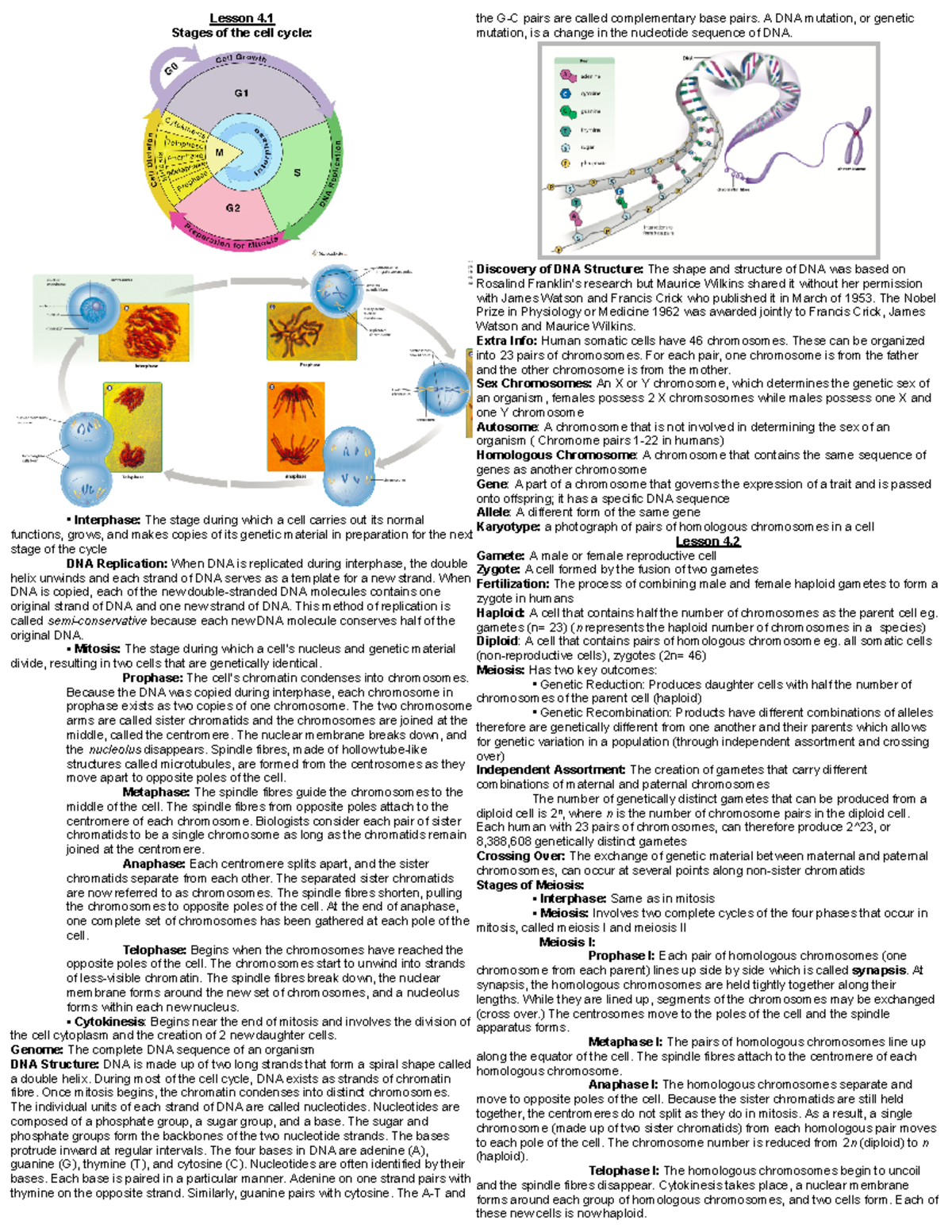 Biology- Unit 2 Final Exam: Cell Cycle & Genetics Review - Studocu