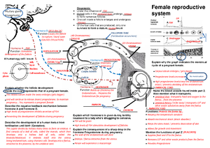 Inkaw'idliw'ilila imibuzo emifutshane-1 - INKAW’IDLIW’ILILA IMIBUZO ...
