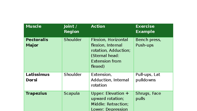 Muscles Cheat Sheet: Actions & Exercises for Major Muscle Groups - Studocu