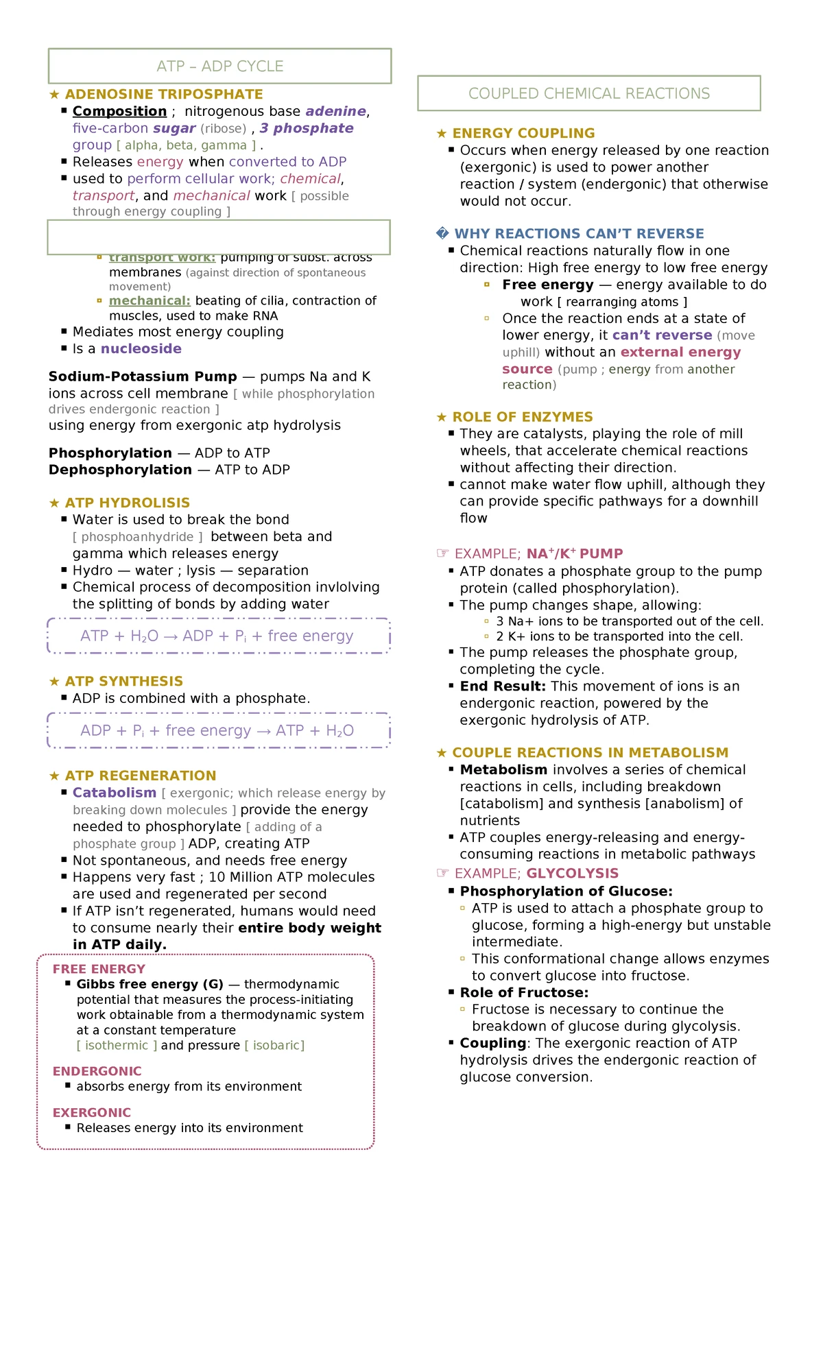 GEN-BIO- Infographics on Animal and Plant Cell Structures - Studocu