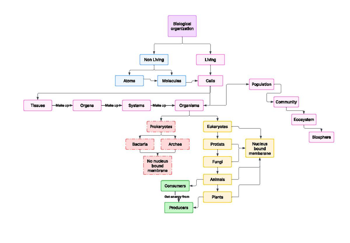 Module 1 Biology - Concept map - BIO 189 - Biological organization Non ...