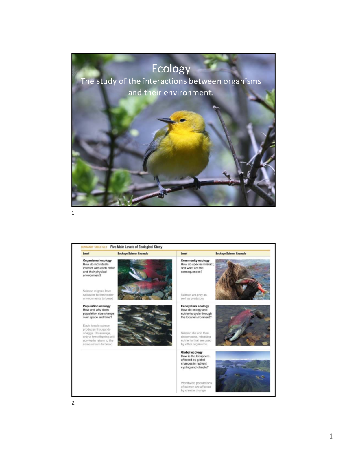 Population Ecology Concepts and Dynamics: Key Features and Factors ...