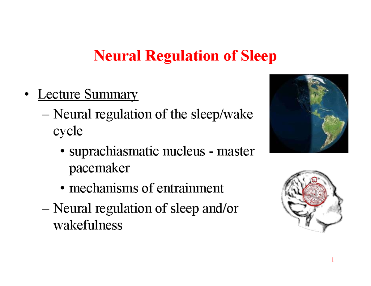 Neural Regulation of Sleep (PSY 370) Lecture Summary - Studocu
