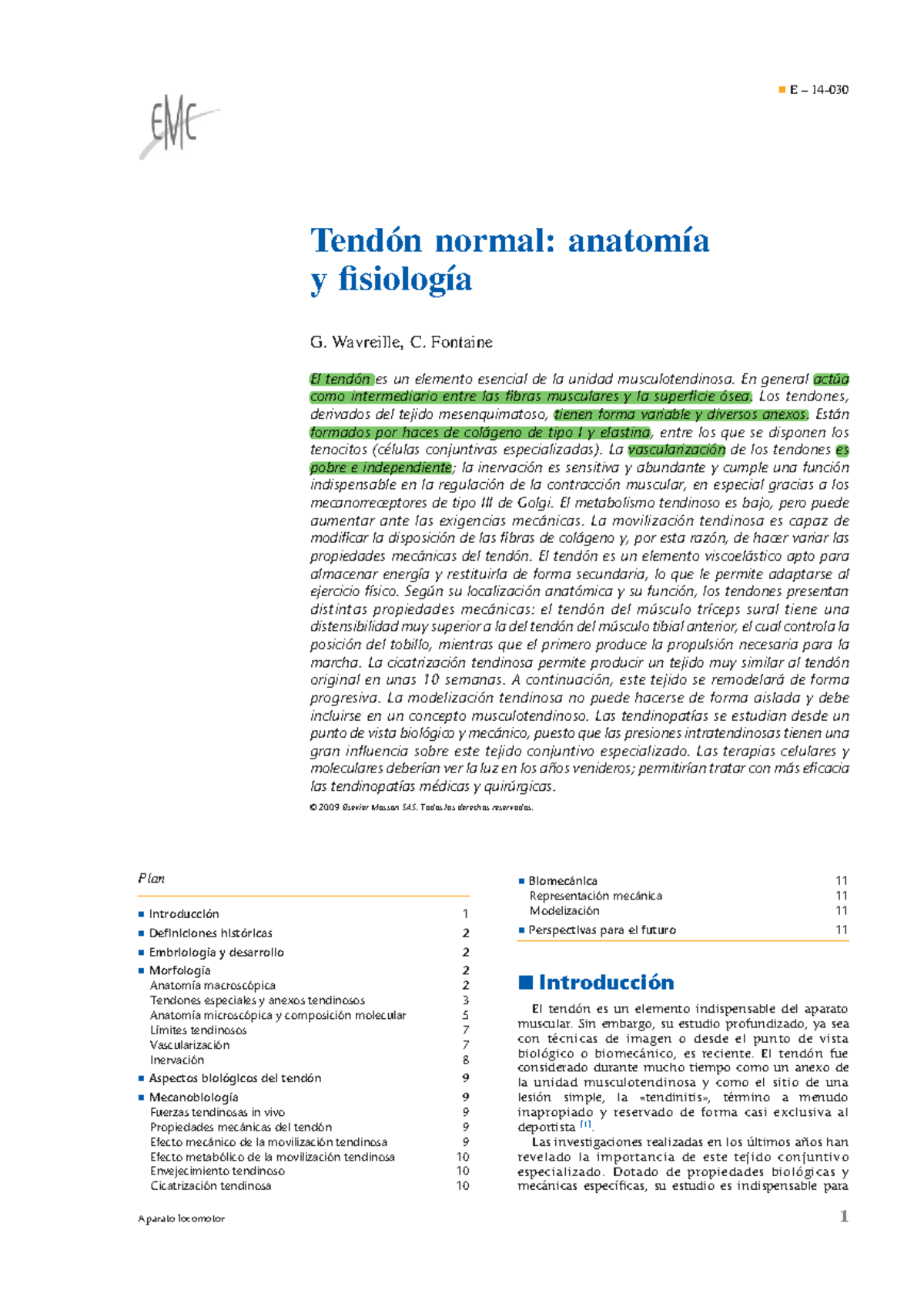 Anatomía y Fisiología del Tendón: Estudio Integral del Tejido ...