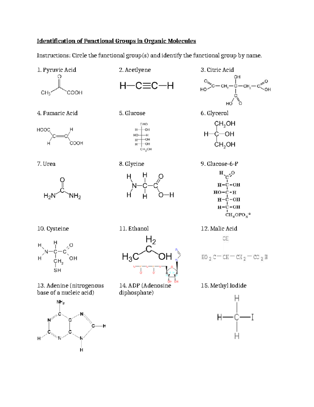 Biomolecules Worksheet Identifying Functional Groups Functional Groups