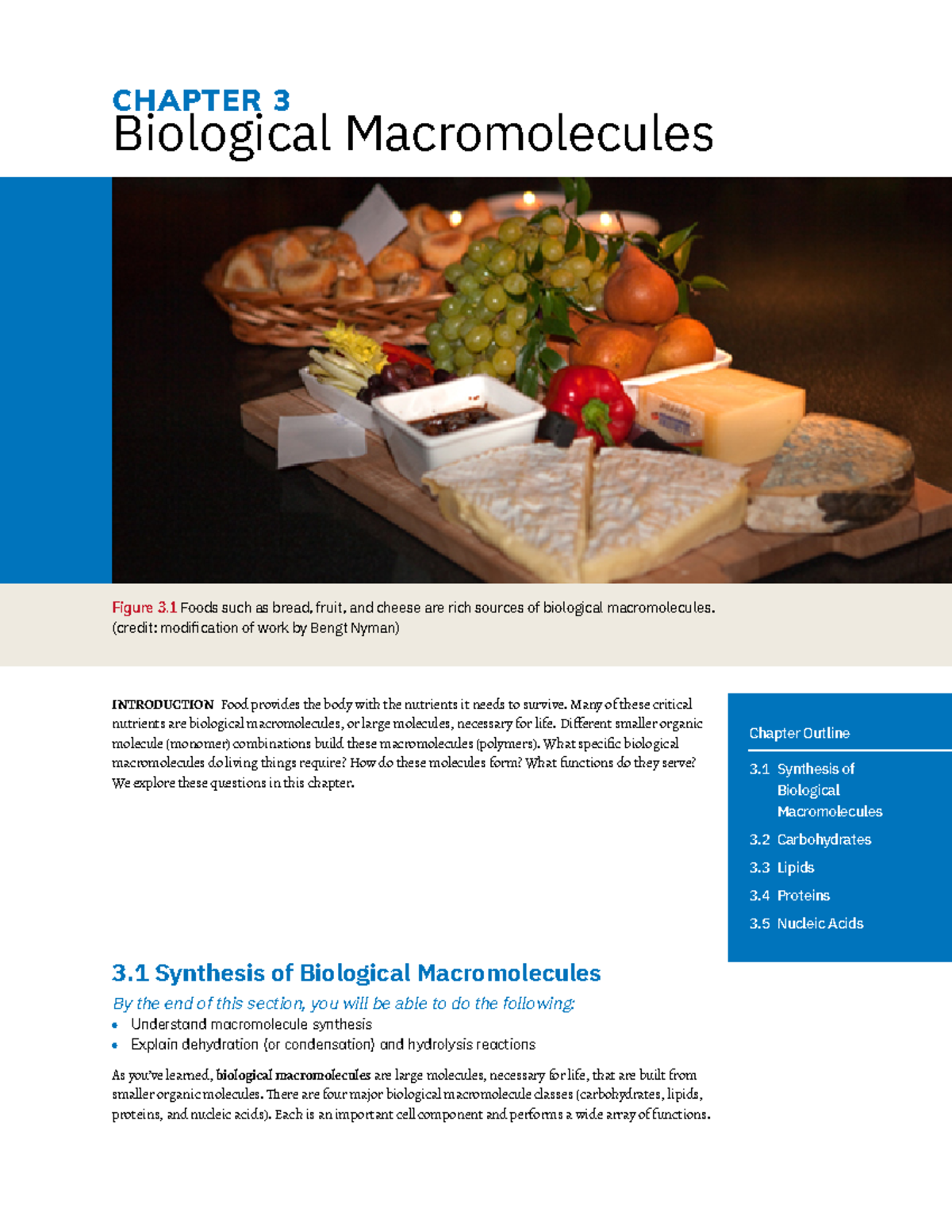 Biological Macromolecules Overview: Synthesis, Structure, and Function ...