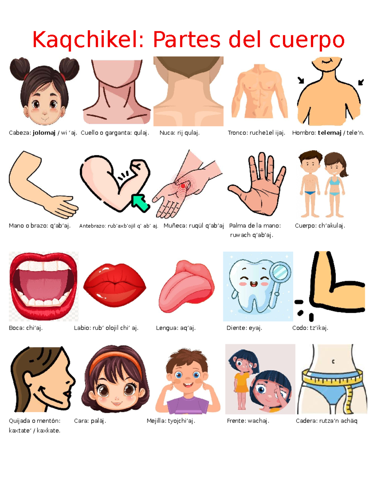 Partes Del Cuerpo En Kaqchikel Kaqchikel Partes Del Cuerpo Cabeza