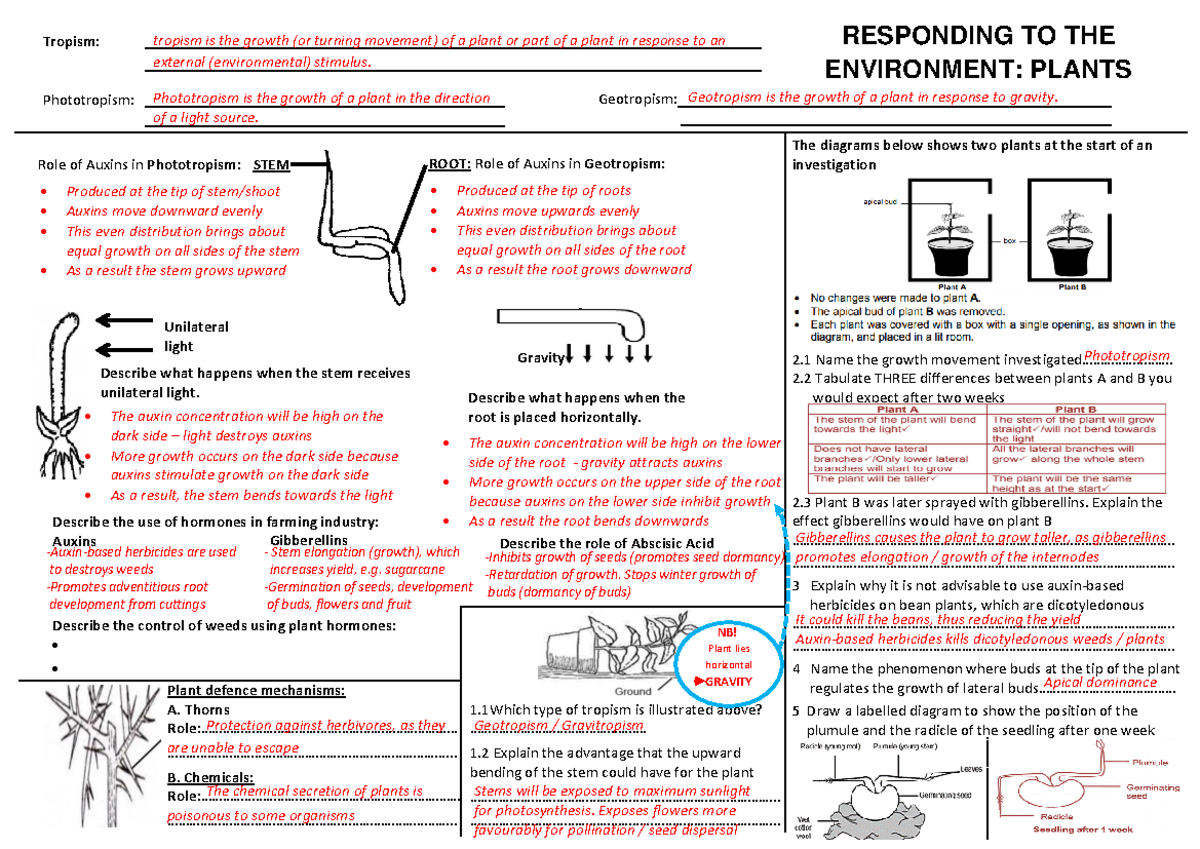 8.1 Tropisms Overview and Plant Hormones 2020 MEMO - Studocu