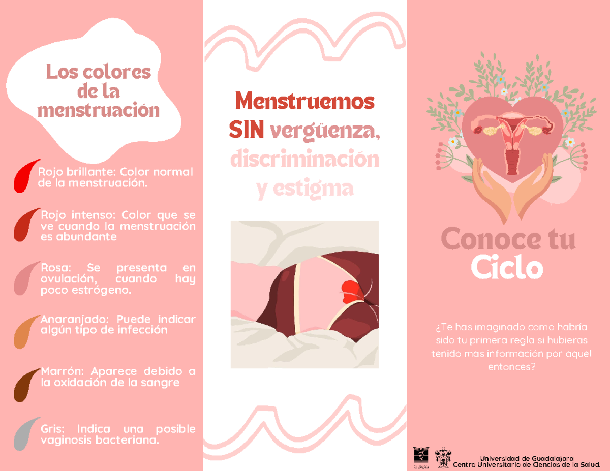 Tríptico sobre la Menstruación Digna: Conoce tu Ciclo y Colores - Studocu