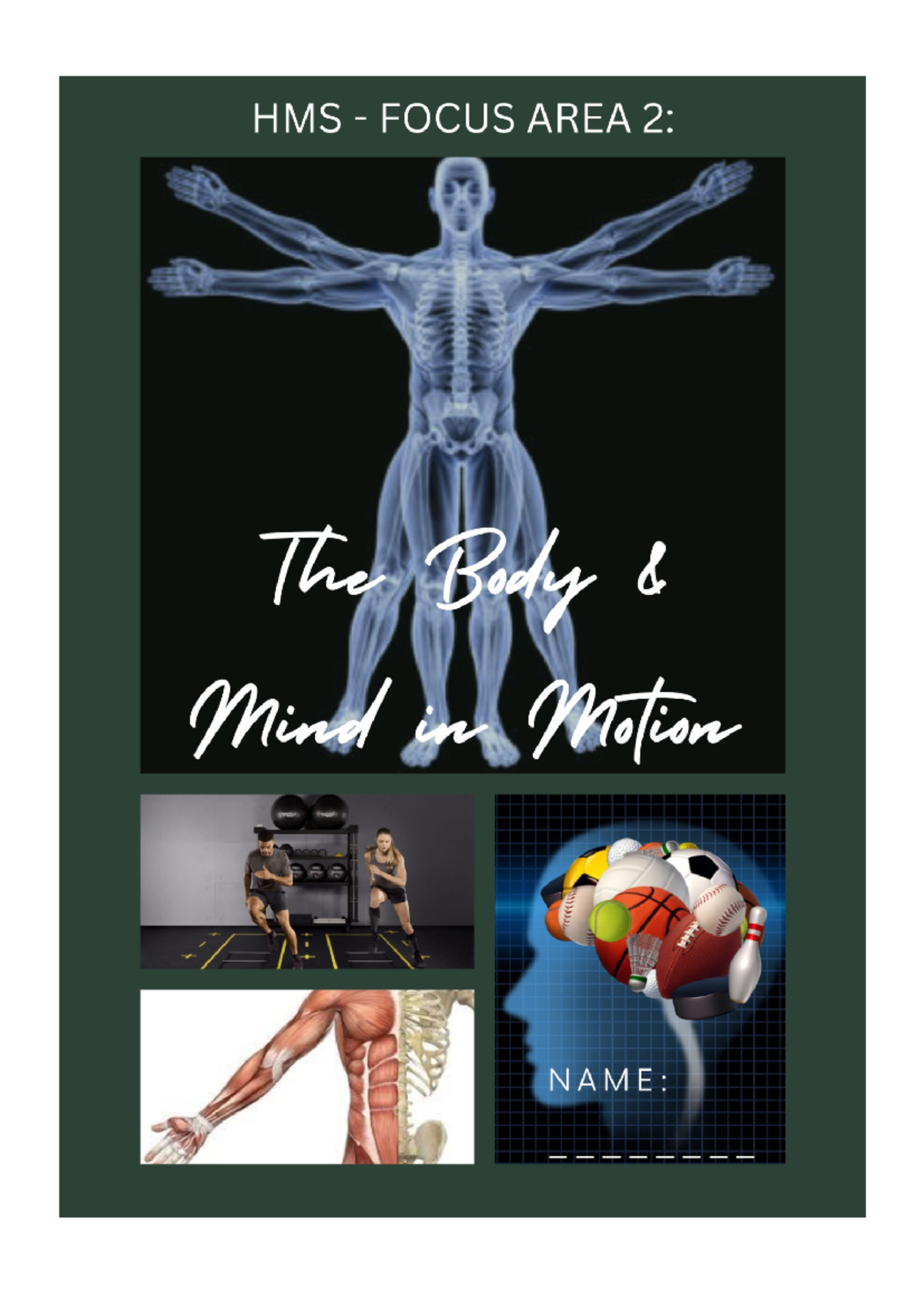 Understanding Body Systems & Movement: HM-11 Syllabus - Studocu