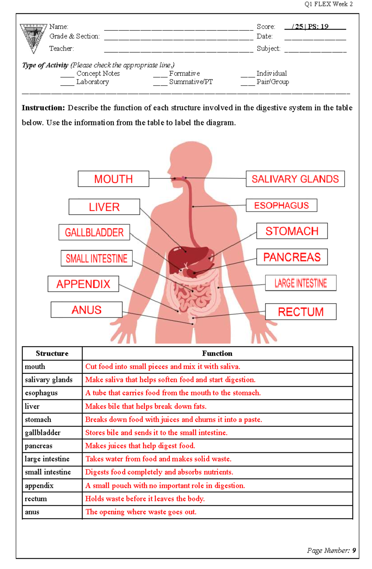 Q1 FLEX Week 2 - Digestive System Structure & Function Answer Key - Studocu