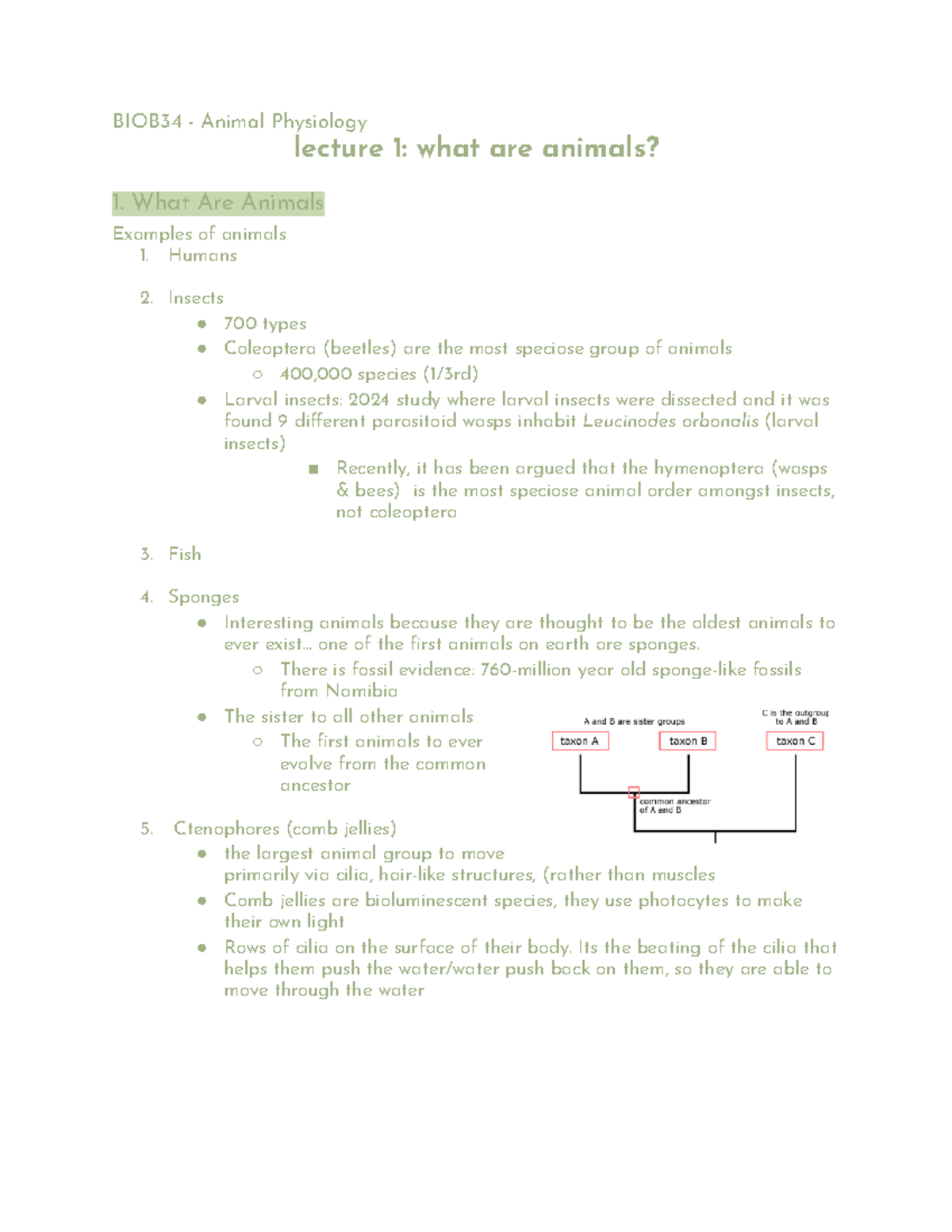 BIOB34 Animal Physiology Lecture 1: Introduction to Animal Diversity ...
