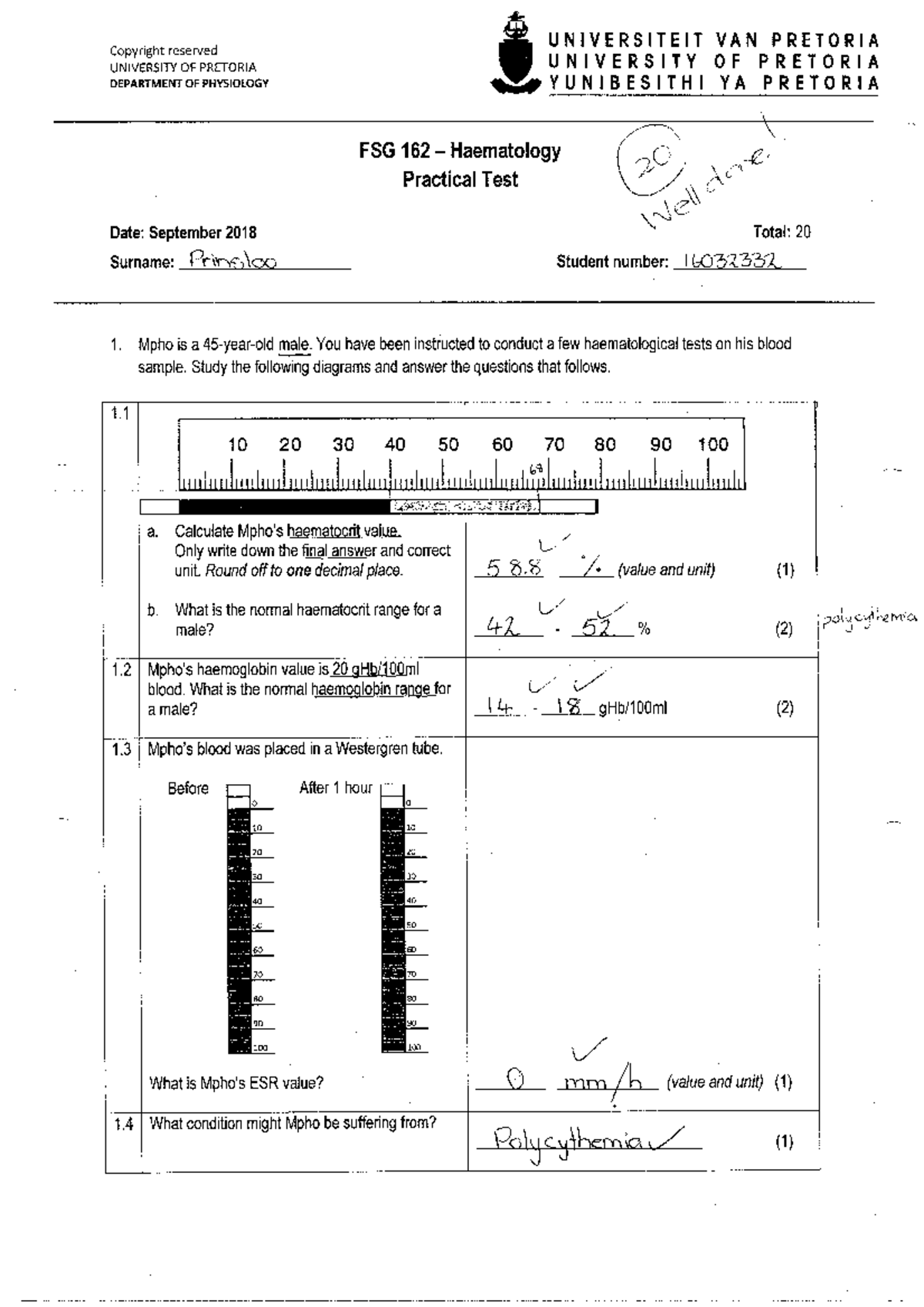 FSG 162 - Haematology prac - UNIVERSITEIT VAN PRETORIA Copyright ...