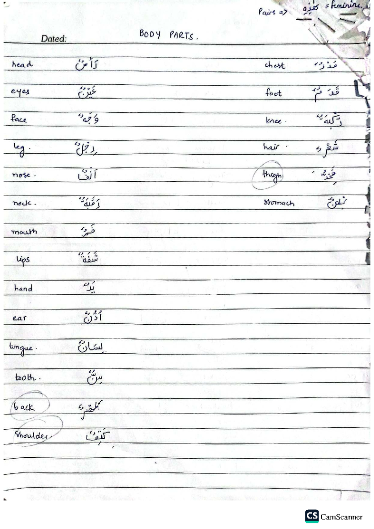 Arabic Notes Complete: AW JFO 2 Final Exam Study Guide - Studocu