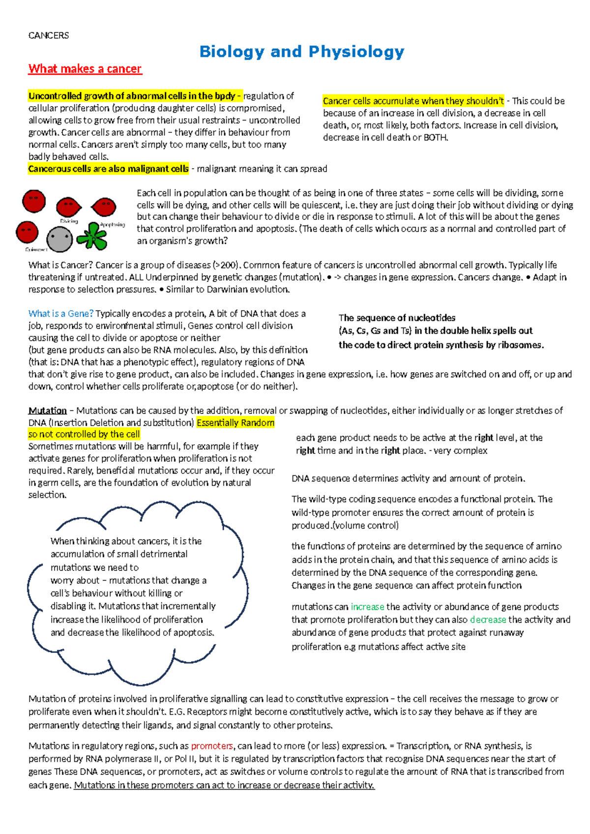BIOL 101 Final Exam Notes: Understanding Cancer Mechanisms - Studocu