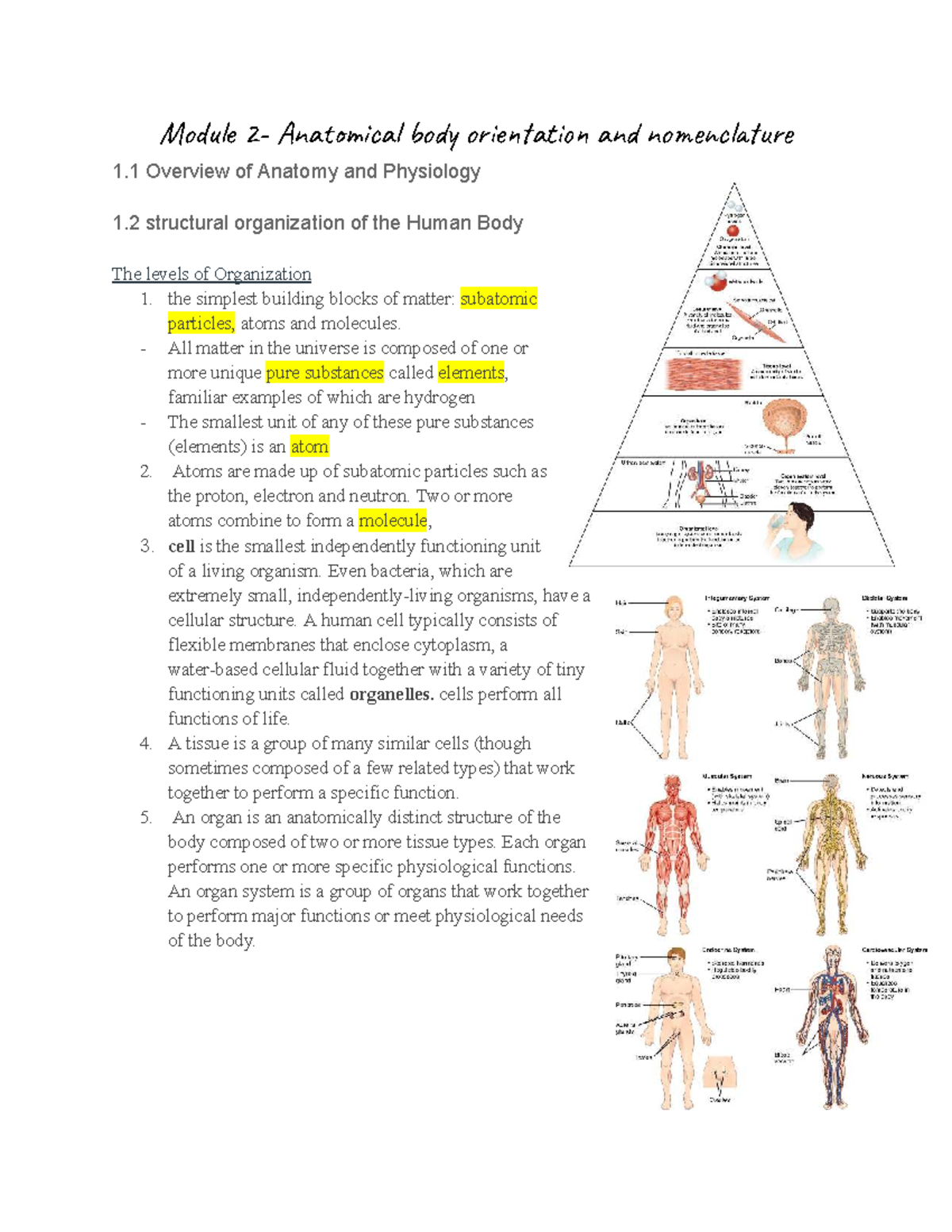 Module 2: Overview of Anatomical Body Orientation and Nomenclature ...