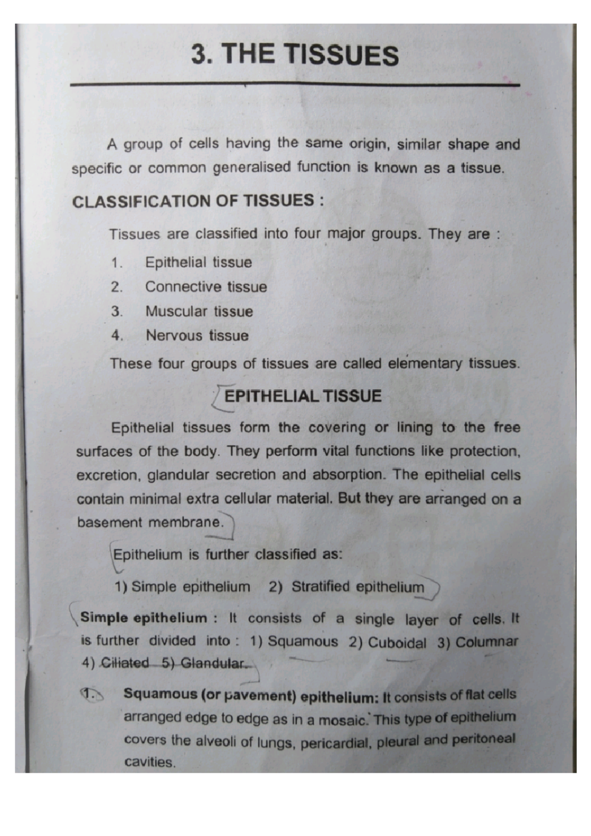 Tissues Quick Revision Notes for Biology 101 Study Guide - Studocu
