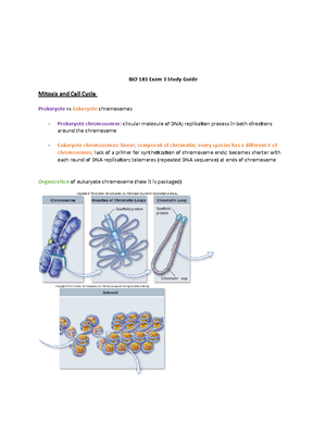 Unit 2- Lab 1 - Unit 2 lab 1 - 2023 Name ...