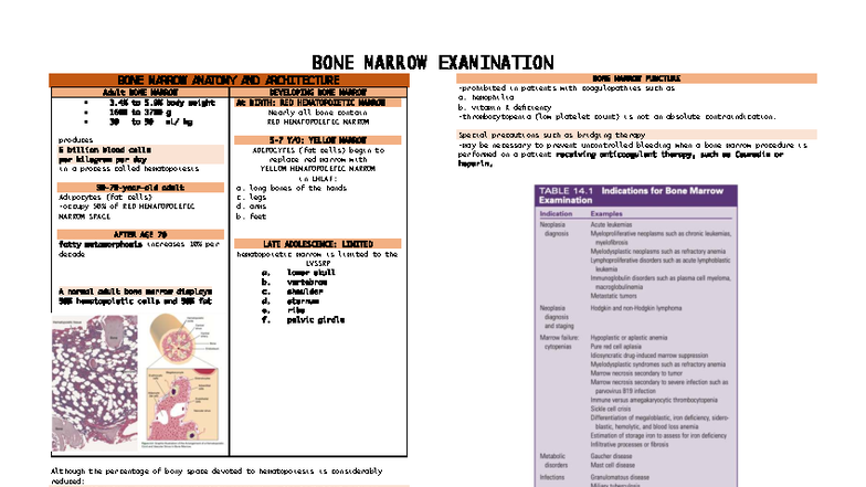 BONE MARROW EXAMINATION: Anatomy, Procedures, and Techniques (Course ...