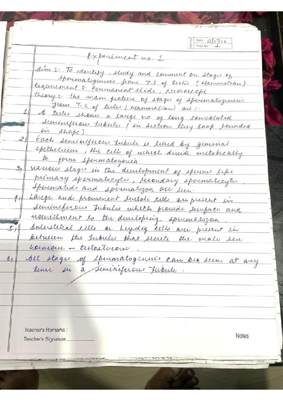 Biology 101: Experiments on Spermatogenesis, Oogenesis, and More - Studocu