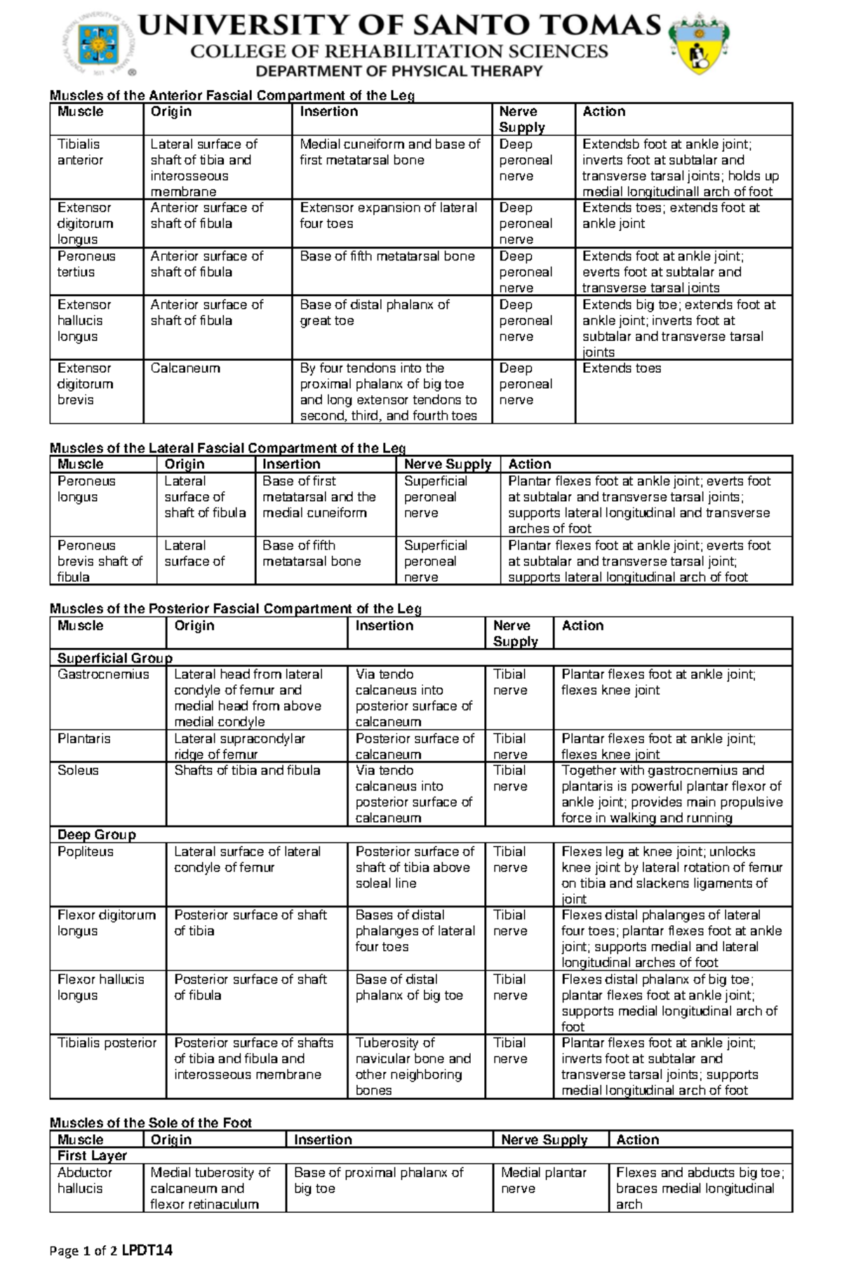 Muscles of the Leg and Foot: Anatomy and Function (LPDT14) - Studocu