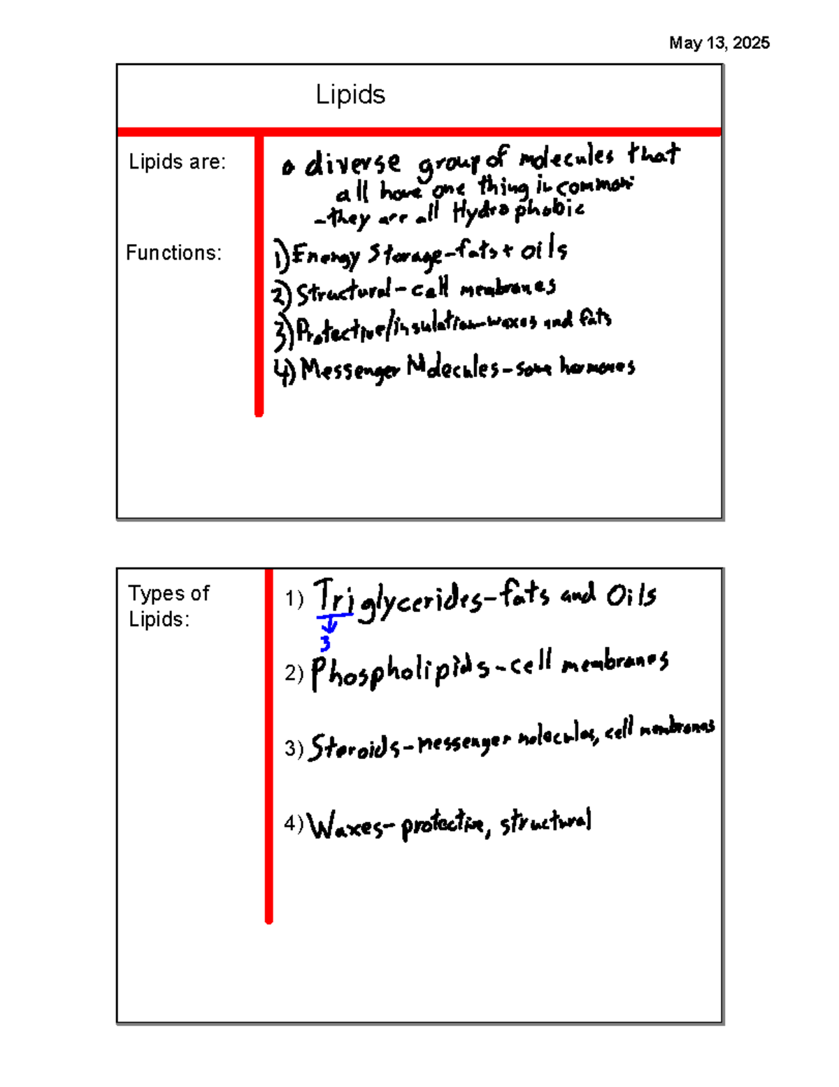 Lipids: Functions, Types, and Fatty Acid Classifications (Bio 101 ...