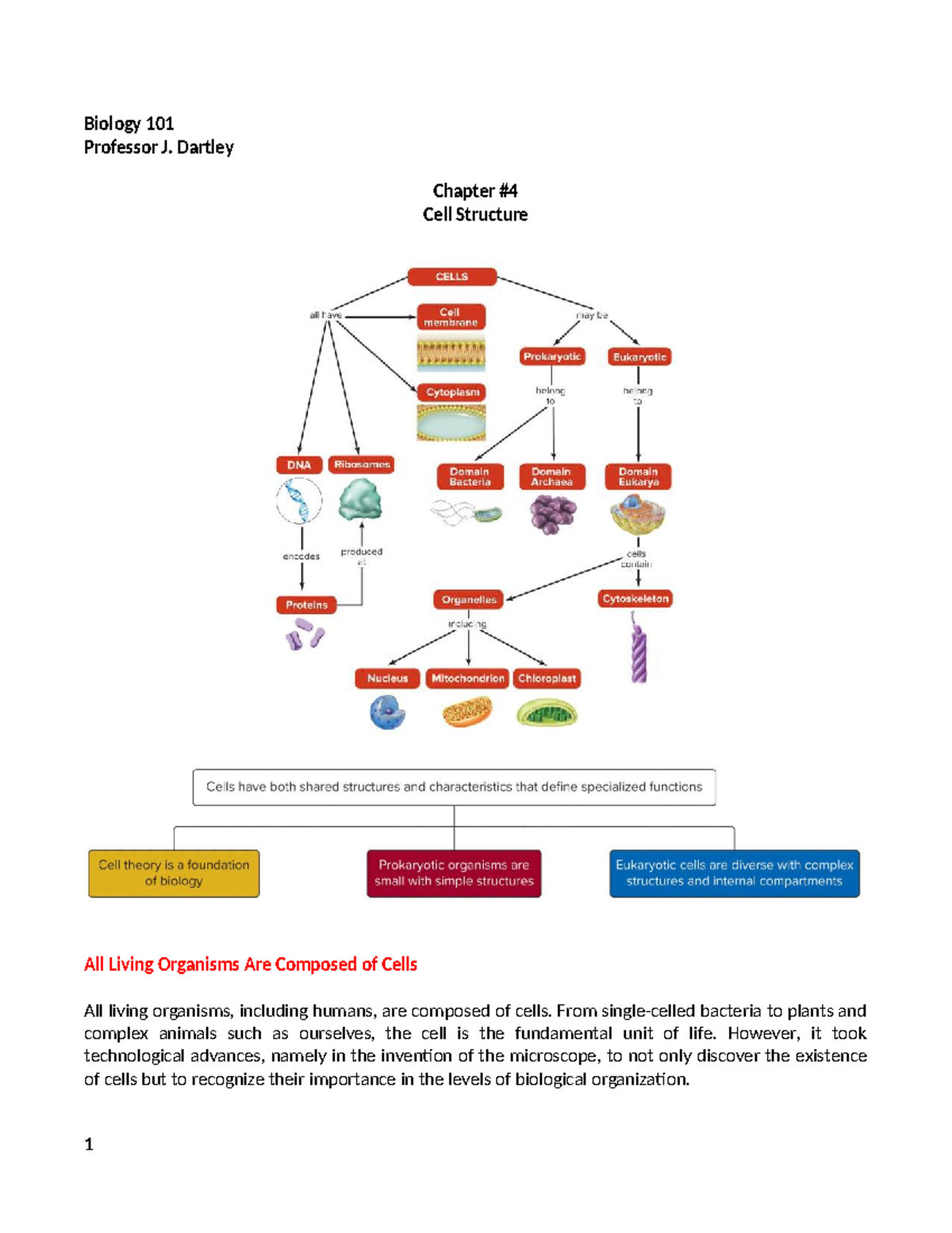 Biology 101 - Chapter 4: Overview of Cell Structures and Functions - Studocu