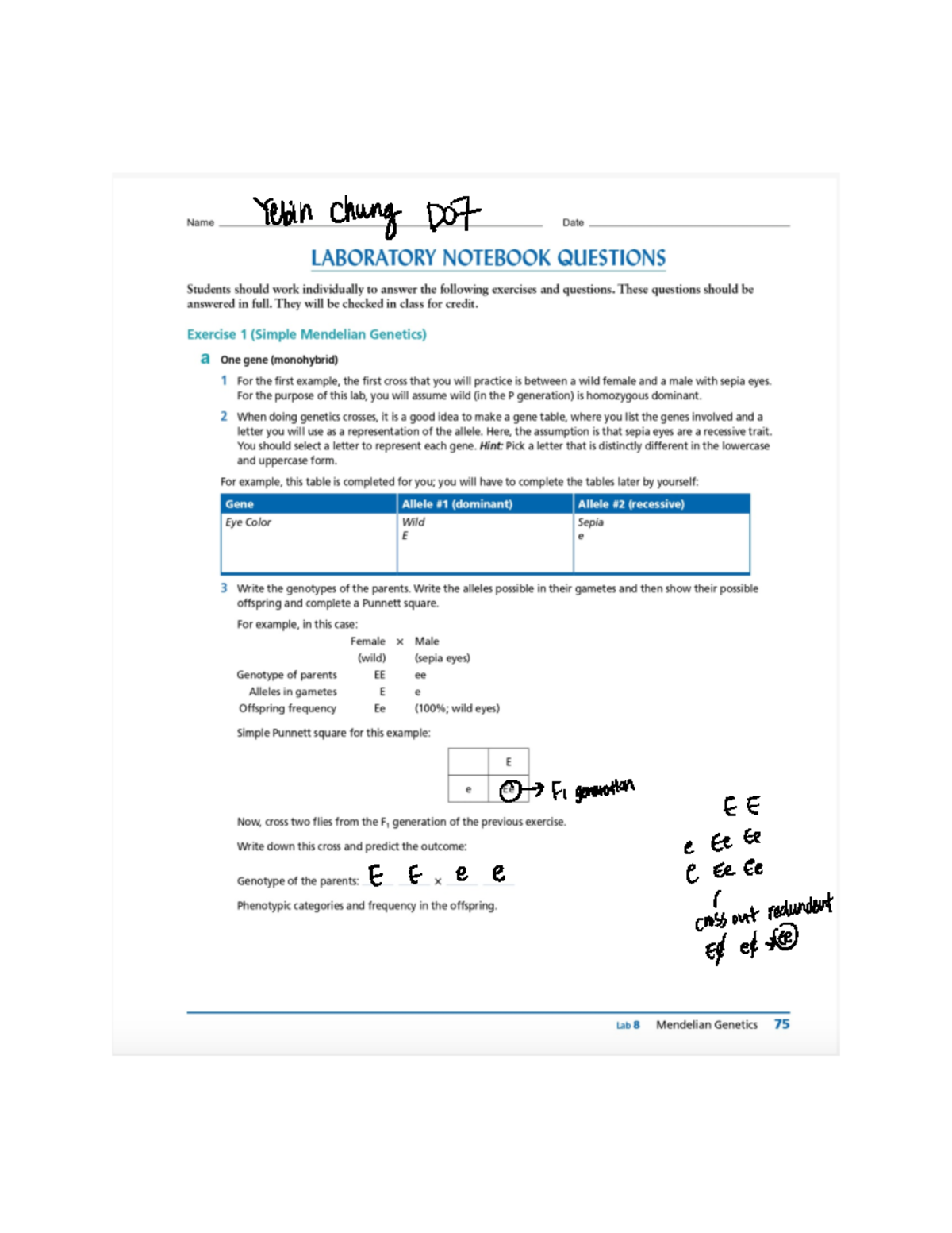 Lab Notebook Questions 8 - Name Yebin chung D07 Date LABORATORY ...