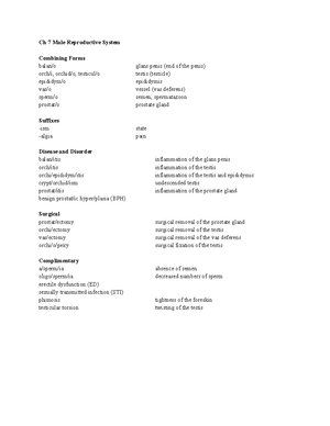 Chapter 01 word parts - Ch. 1 Introduction to Medical Language ...