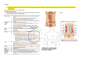 Burns - Concept map - surgery - Studocu