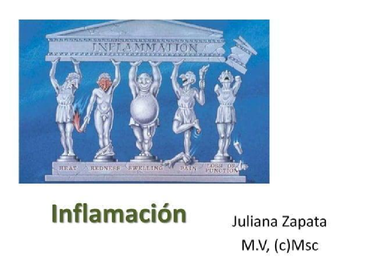 Inflamación: Calor, Dolor, Edema y Pérdida de Función - M.V. Zapat ...
