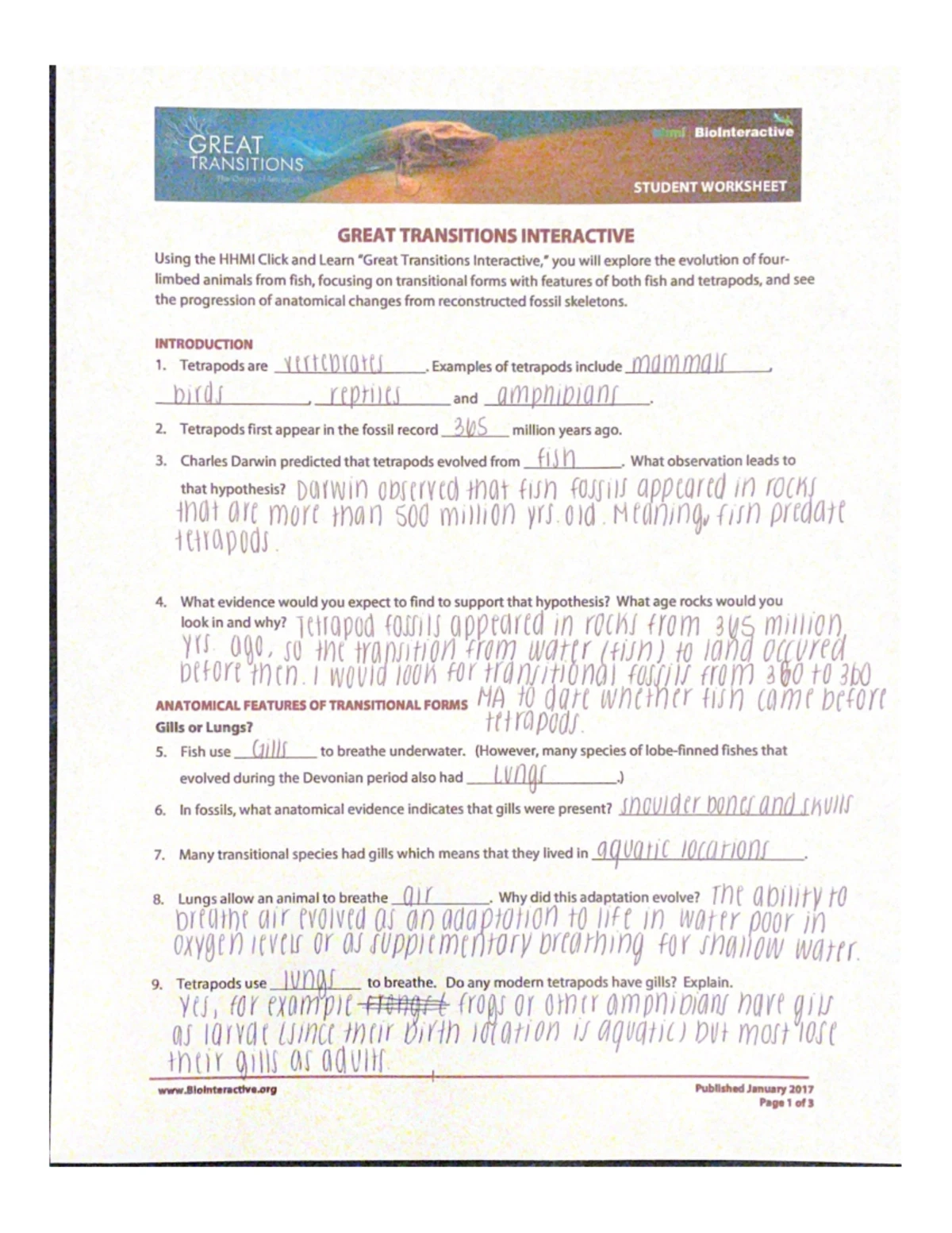 Assignment 5 Quiz On Great Transitions Human Origins Studocu