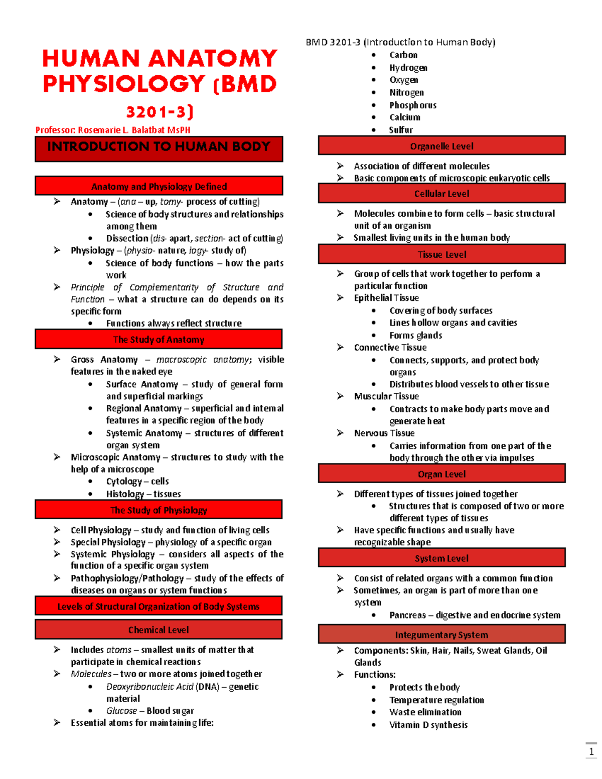 Introduction to Human Body (BMD 3201) - Anatomy & Physiology Overview ...