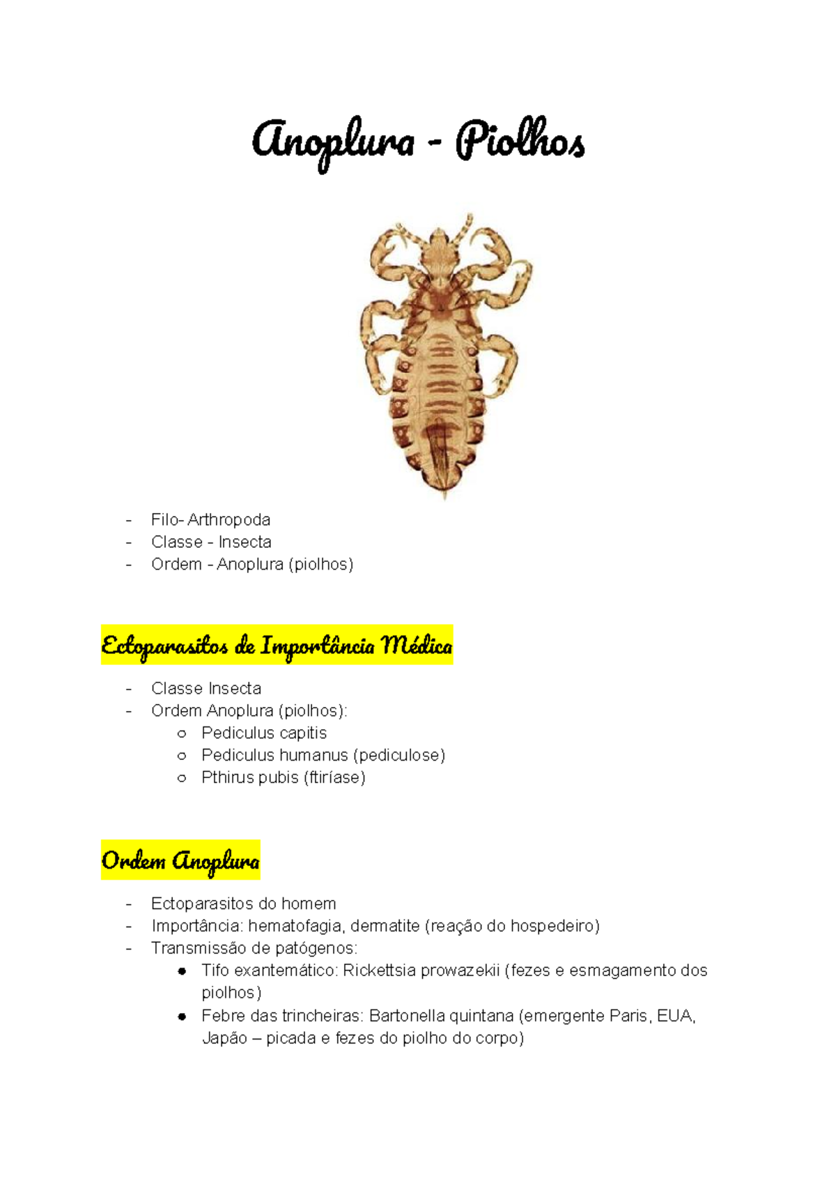 Anoplura: Morfologia, Ciclo Evolutivo, Patogenia e Tratamento - Studocu