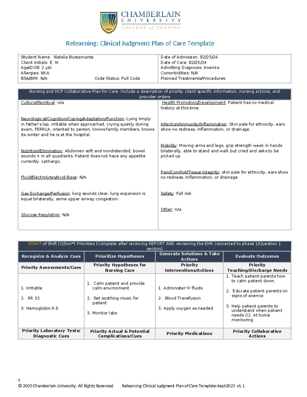 Clinical Judgment Plan of Care Template for Pediatric Patient Care ...