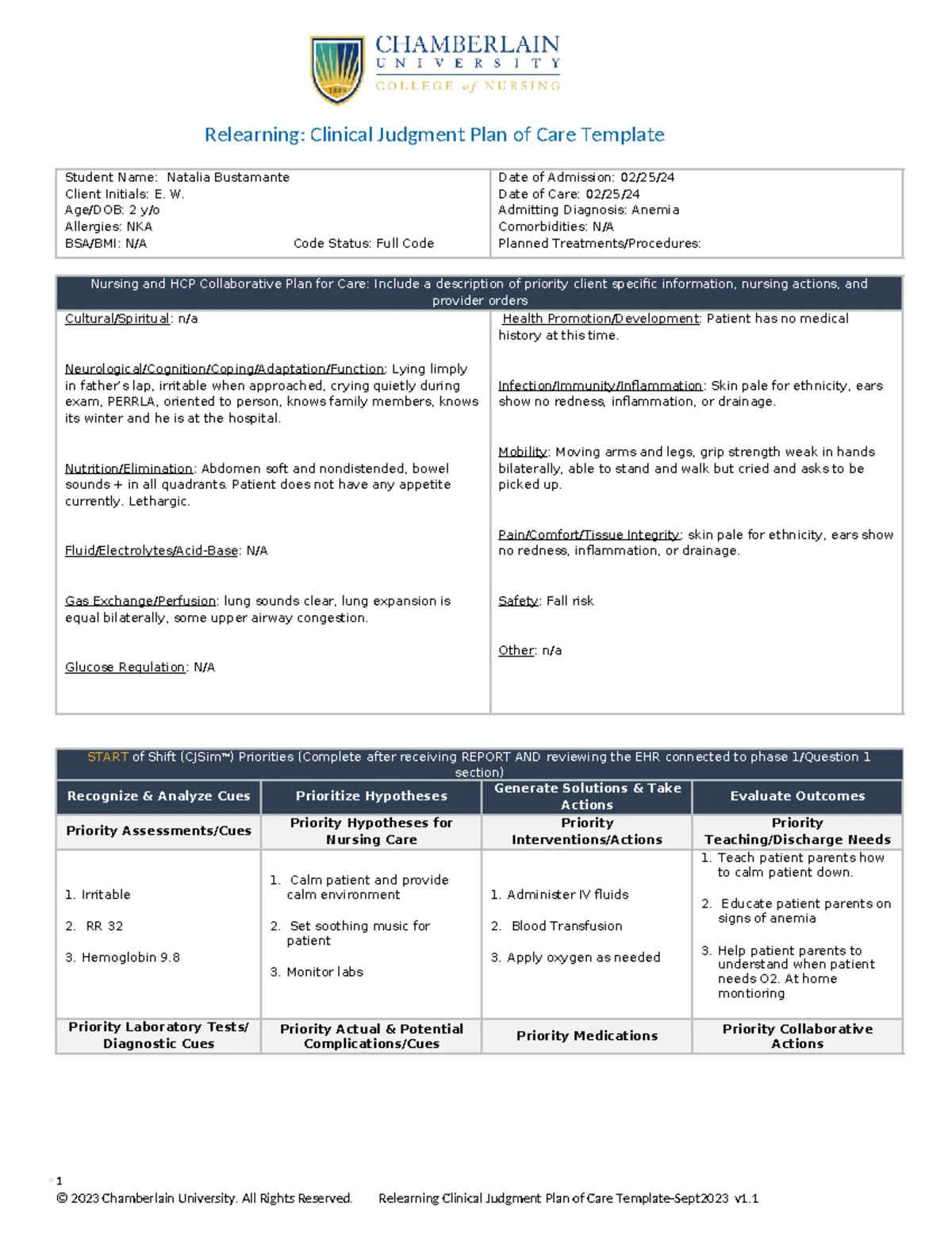 CHAMBERLAIN 3 - Clinical Judgment Plan of Care Template Overview - Studocu