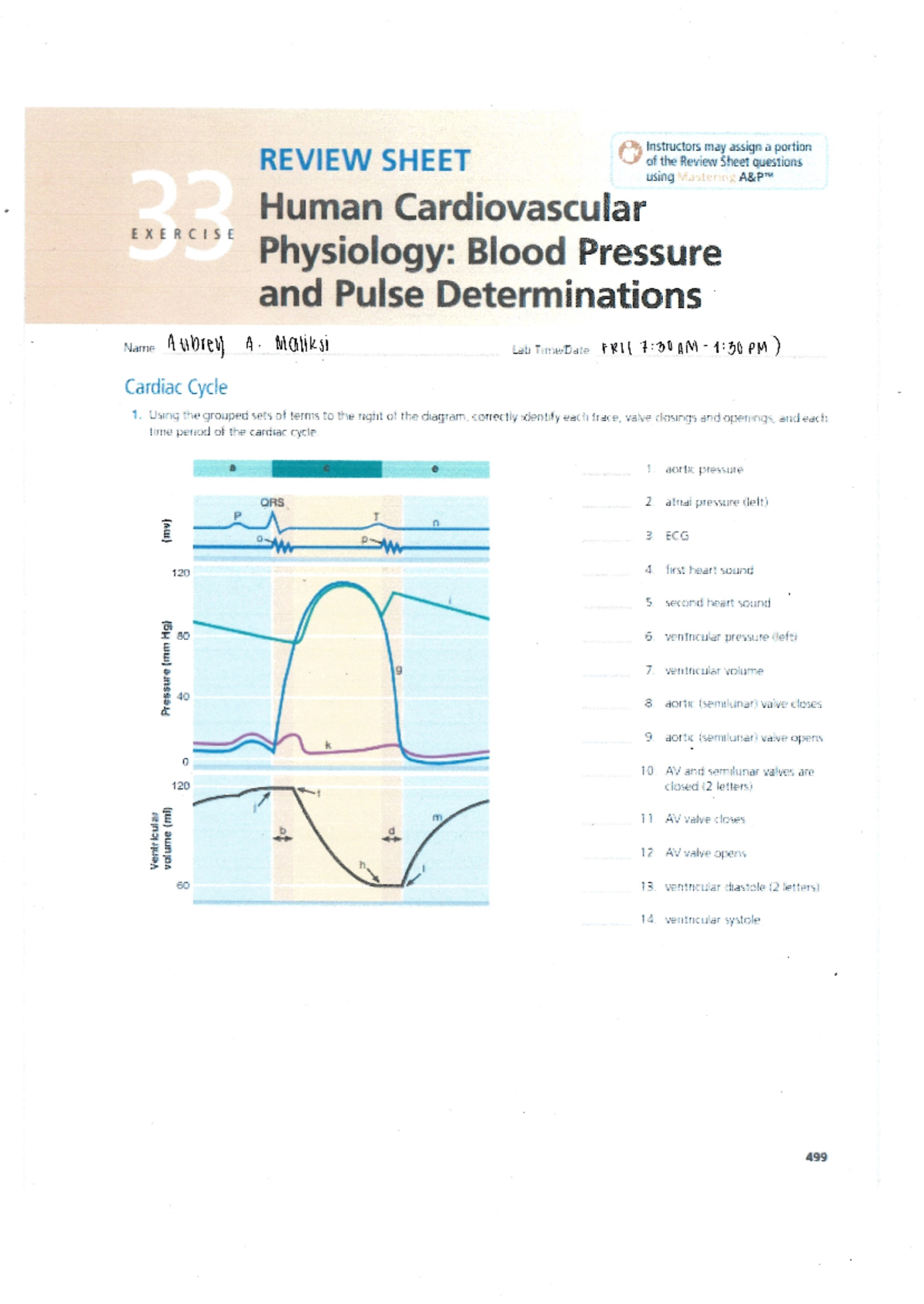 Exercise 33 Review Sheet: Cardiovascular Physiology by Maliksi (BSN1G ...