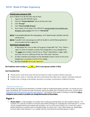 Understanding Protein Structure and Function: A Detailed Overview - Understanding Protein ...