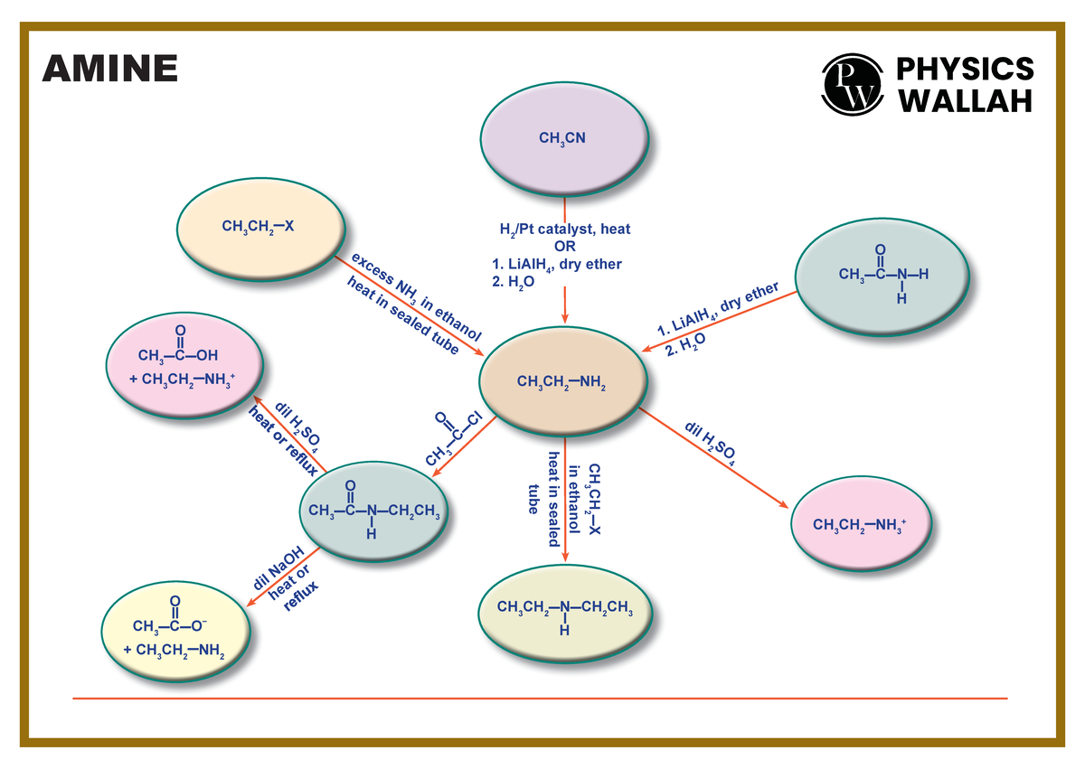 Amines Mind Maps - Short short of chemistry - dil H 2 SO 4 AMINE H 2 ...