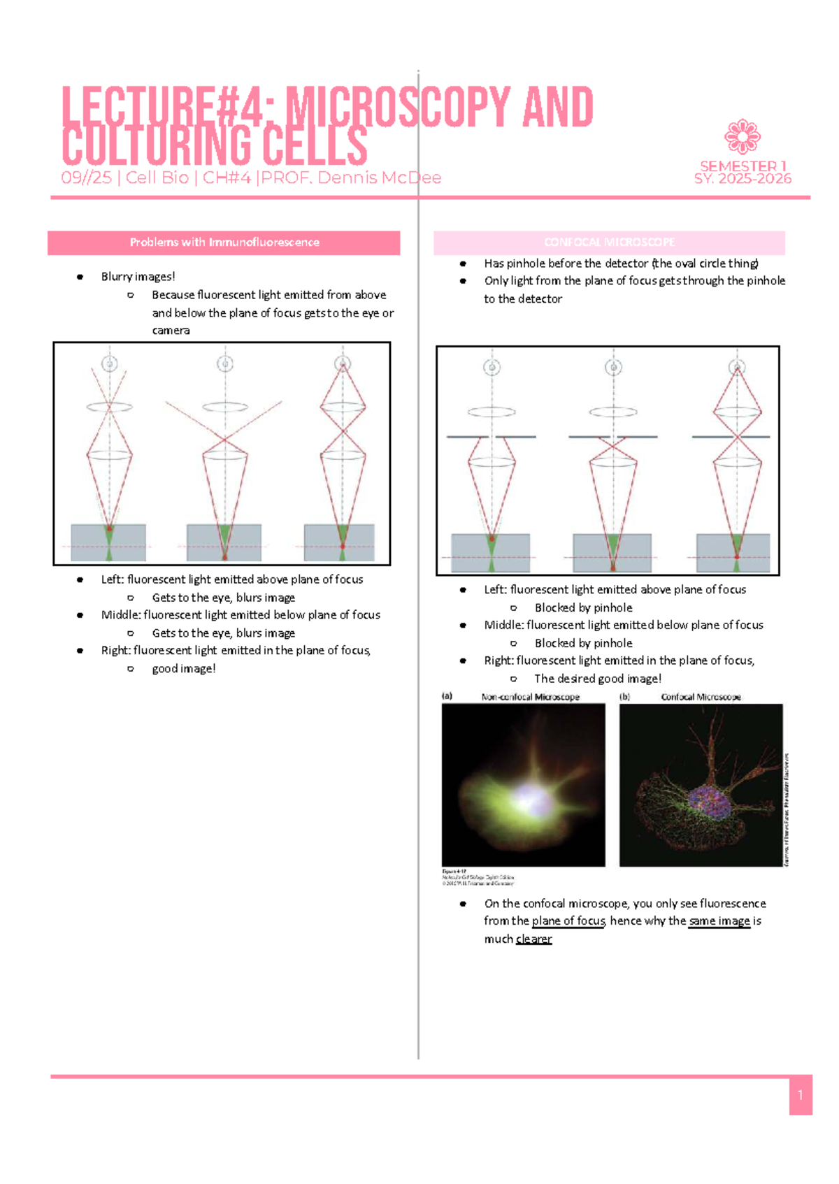 CELL BIO 101: Lecture 4 - Microscopy and Culturing Cells Insights - Studocu