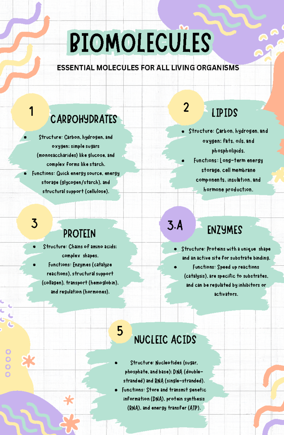 Biomolecules Overview: Structure and Functions of Essential Molecules ...